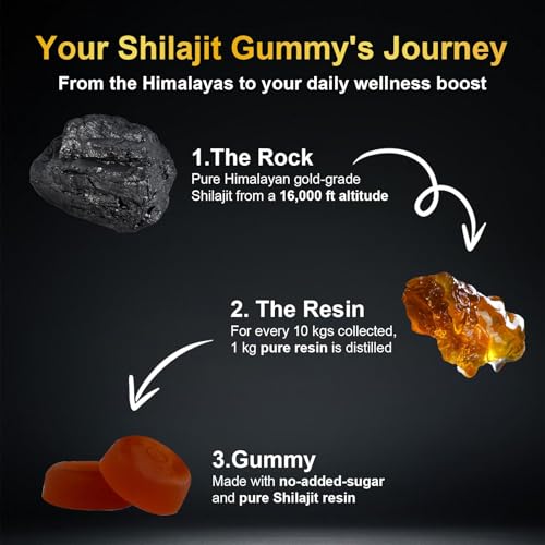 multivitamin for men with Shilajit