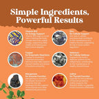 multivitamin for men with thyroid support