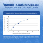 multivitamin for men with uric acid support