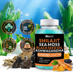 multivitamin for men with WEEVIT gummies