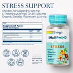 multivitamin for mental clarity