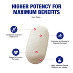 multivitamin for overall wellness