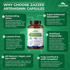 multivitamin for seniors bone health
