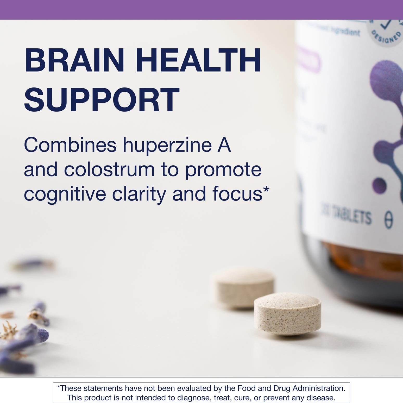multivitamin for seniors brain function