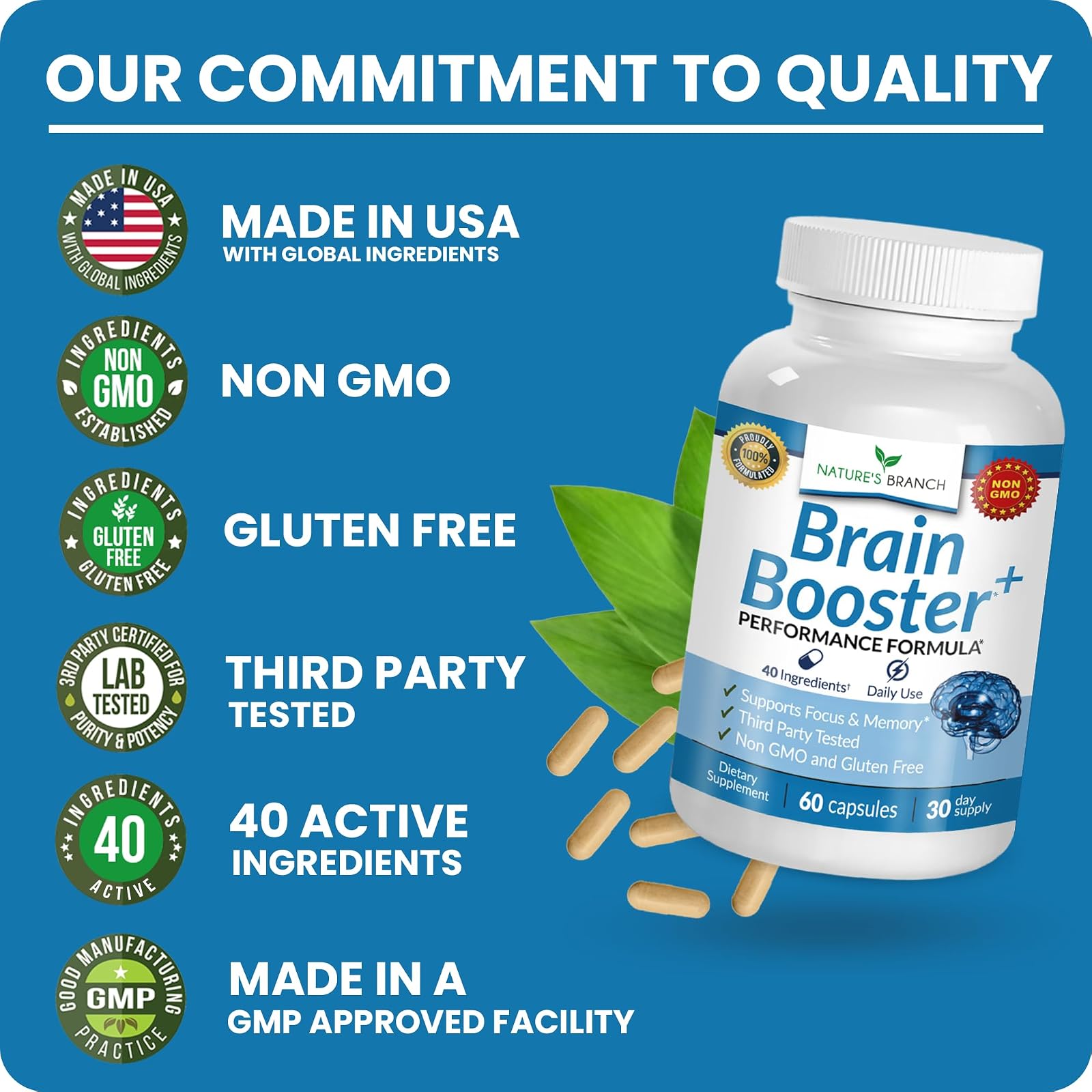 multivitamin for seniors' brain health