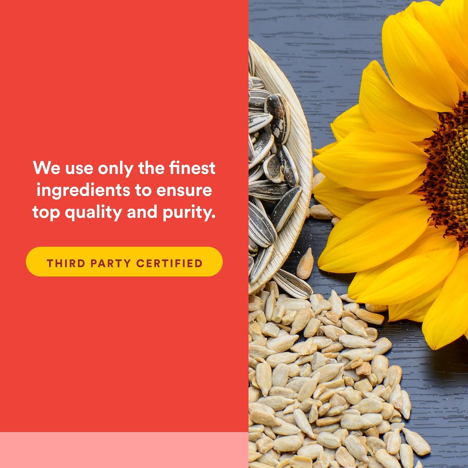 multivitamin for seniors brain health