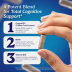 multivitamin for seniors brain health