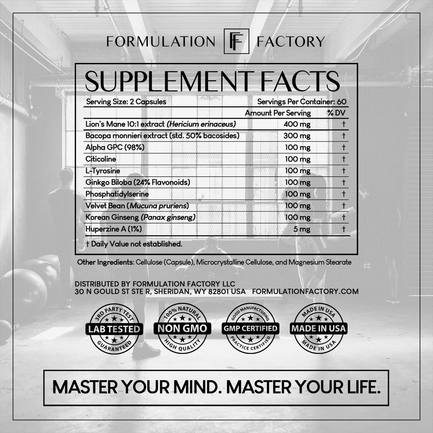 multivitamin for seniors cognitive support