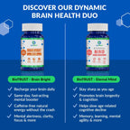 multivitamin for seniors cognitive support