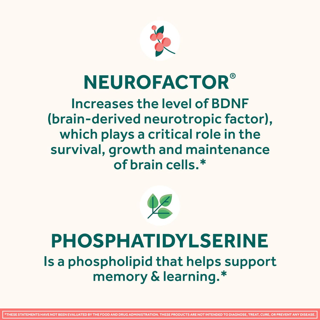 multivitamin for seniors cognitive support