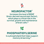 multivitamin for seniors cognitive support