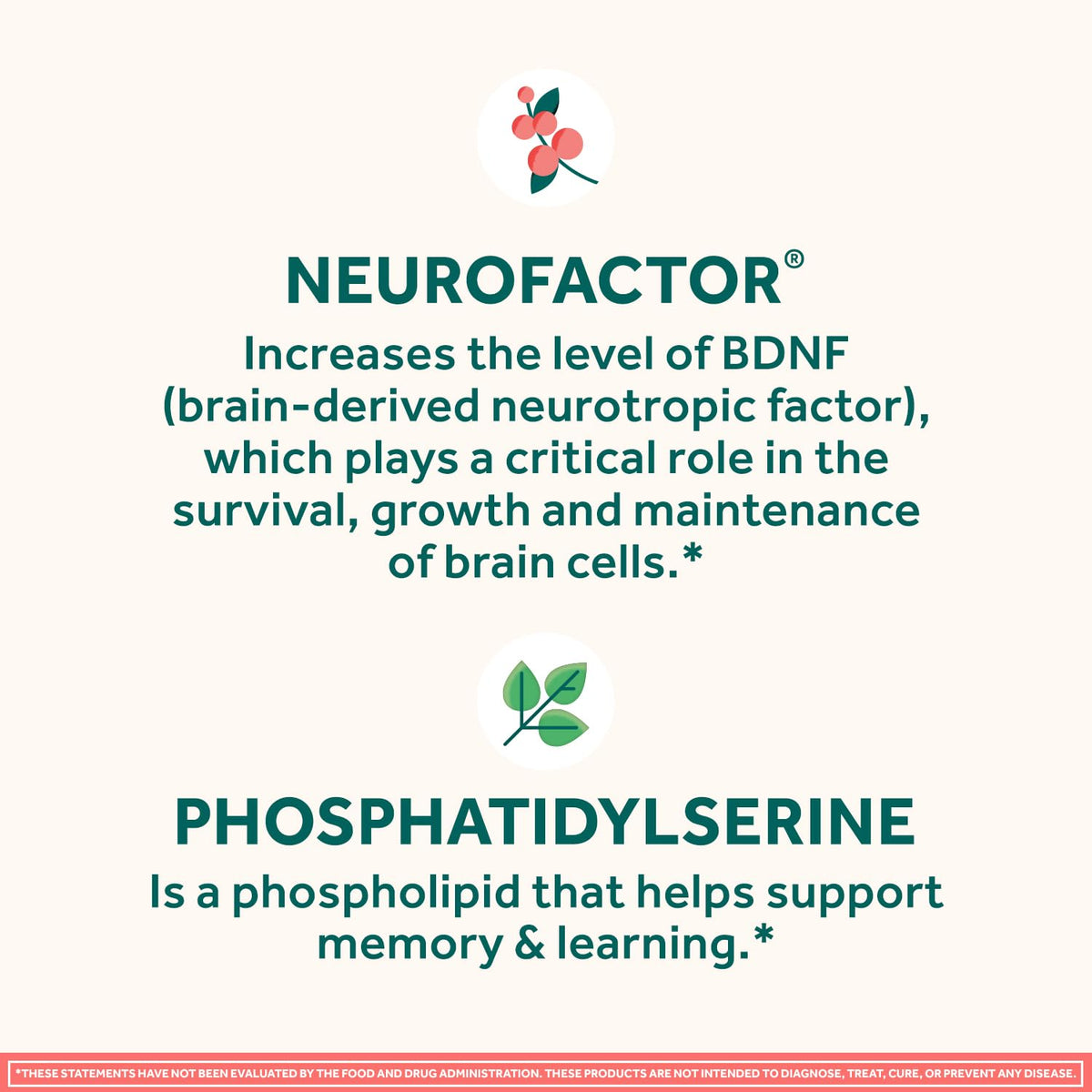 multivitamin for seniors cognitive support