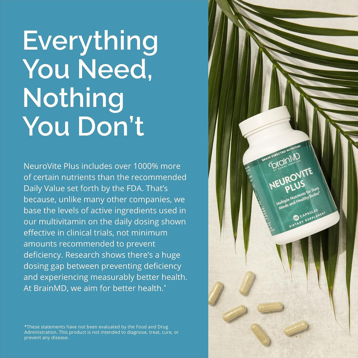 multivitamin for seniors cognitive support