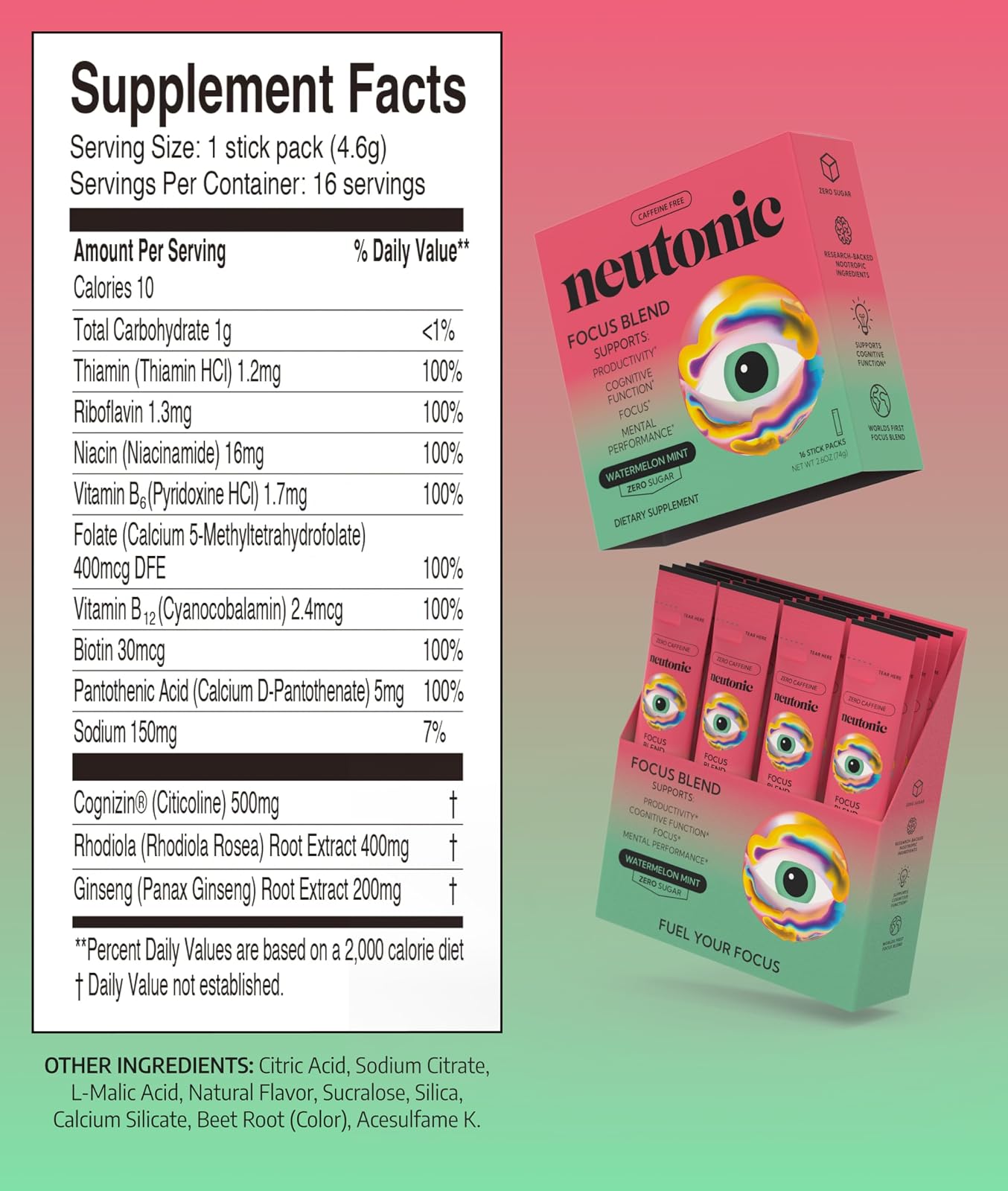 multivitamin for seniors cognitive support