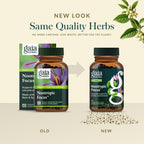 multivitamin for seniors cognitive support