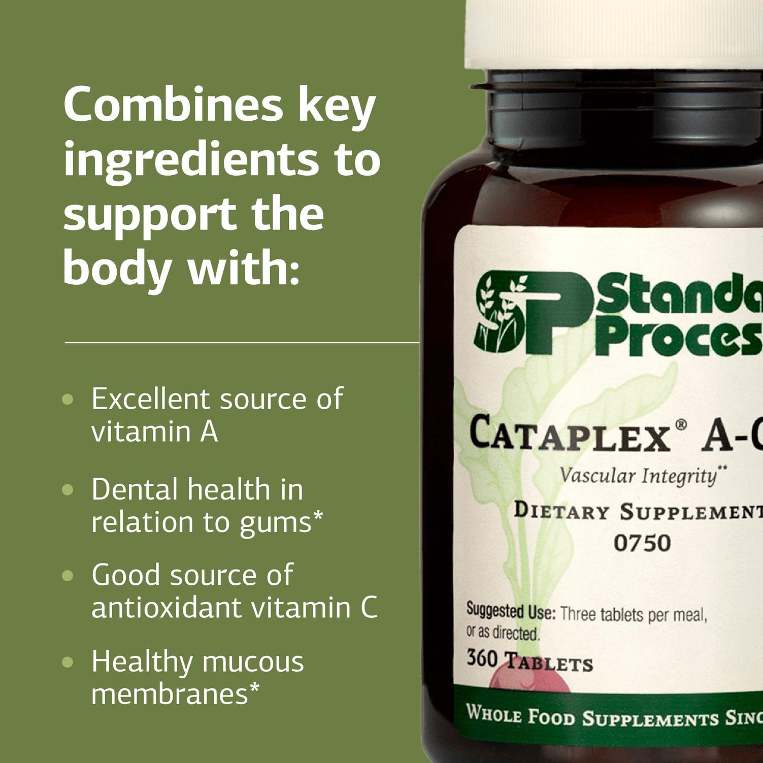 multivitamin for seniors daily energy