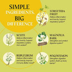 multivitamin for seniors daily wellness