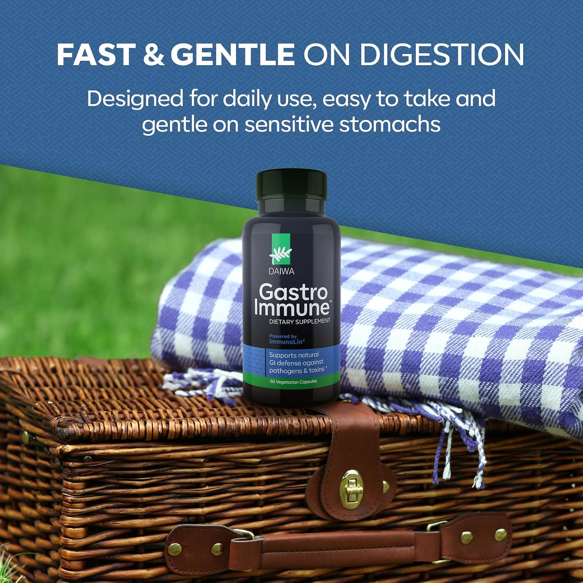 multivitamin for seniors digestive aid