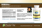 multivitamin for seniors enhancing vitality