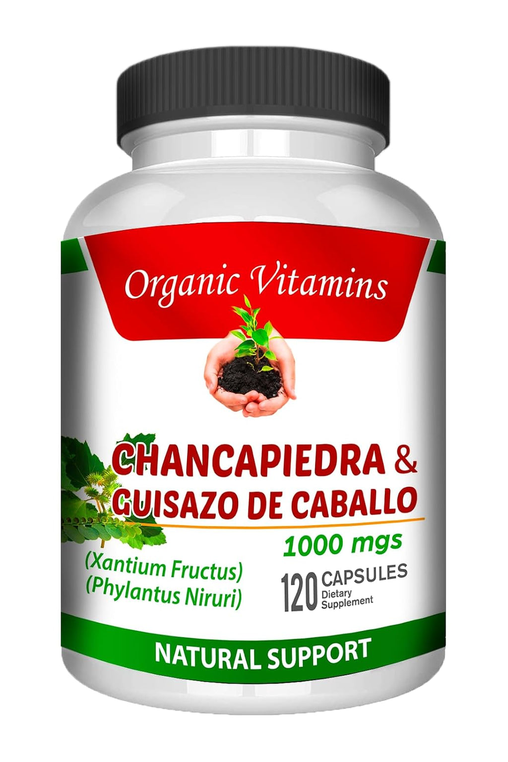 multivitamin for seniors Guisazo de Caballo