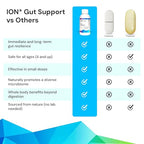 multivitamin for seniors gut function