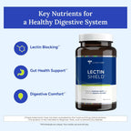 multivitamin for seniors gut health