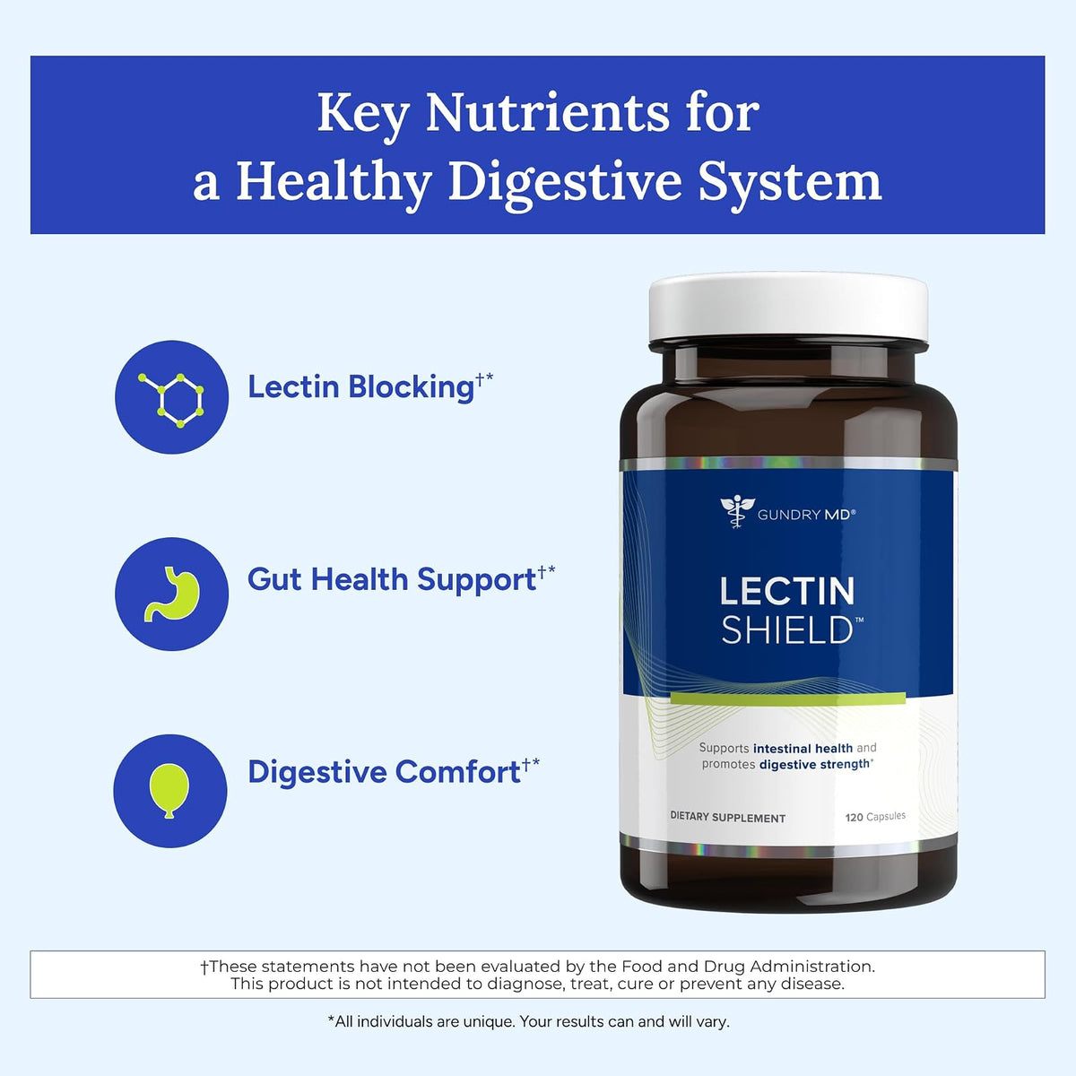 multivitamin for seniors gut health