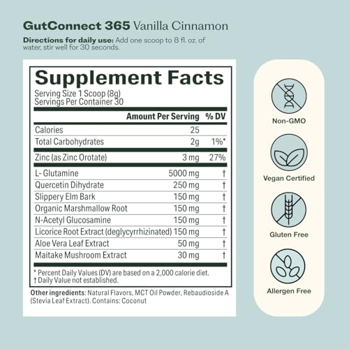 multivitamin for seniors gut wellness