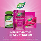 multivitamin for seniors' health support