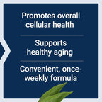 multivitamin for seniors health support