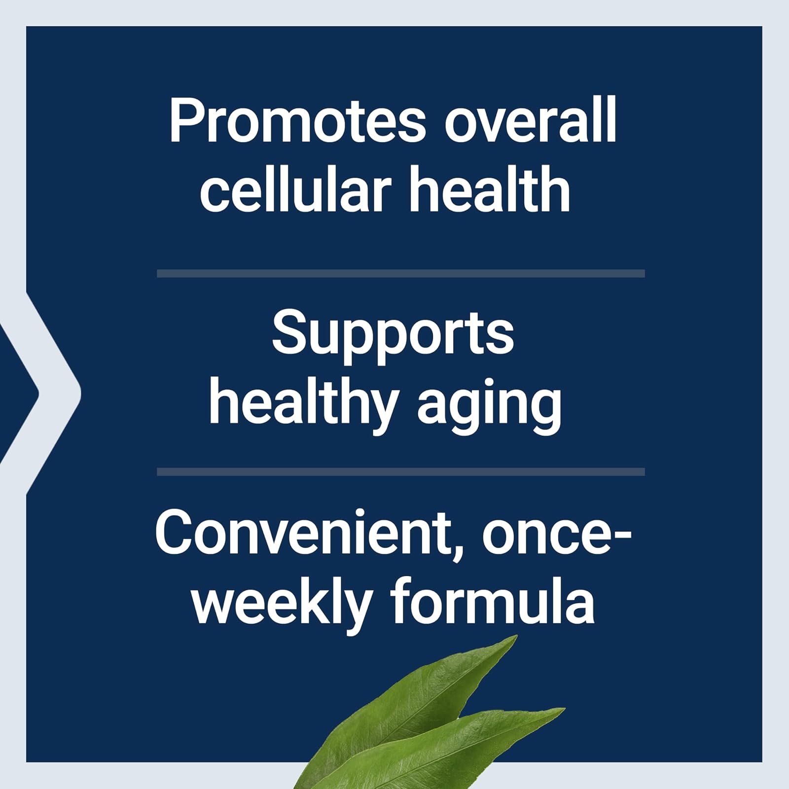 multivitamin for seniors health support