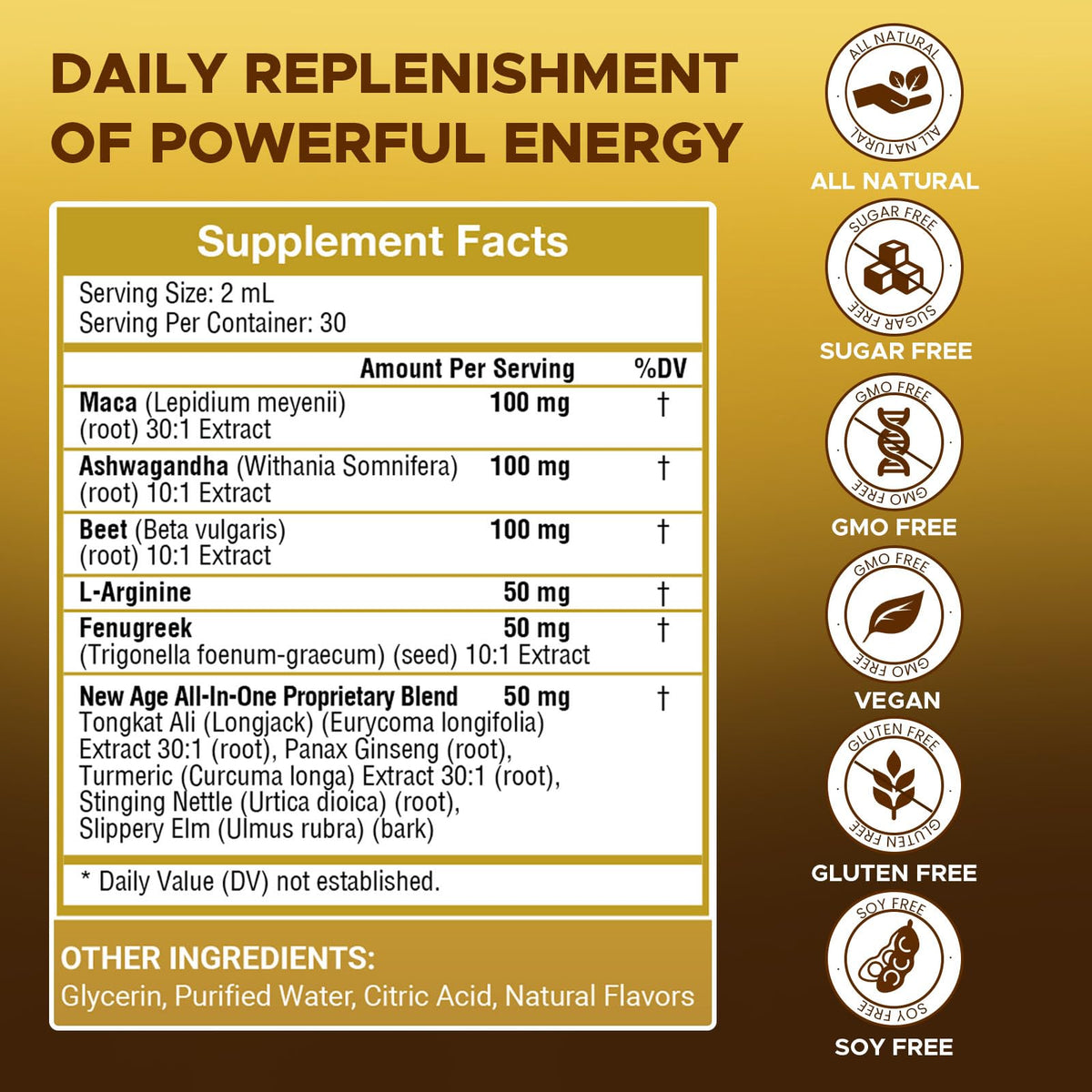 Multivitamin for seniors health support