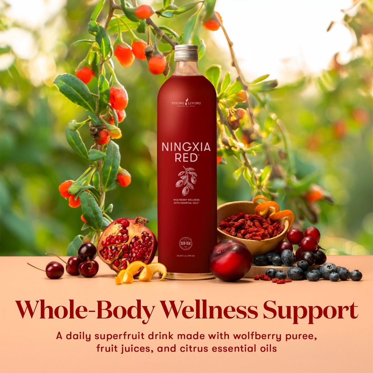 multivitamin for seniors health support