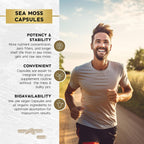 Multivitamin for seniors health