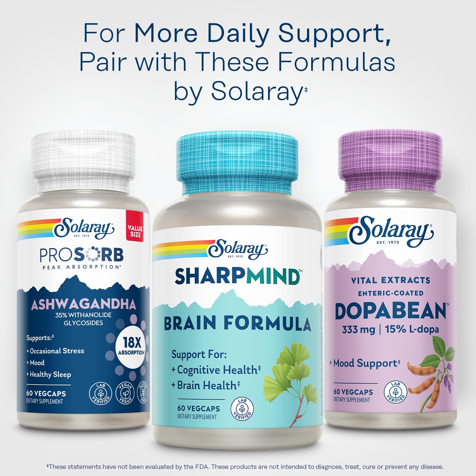 multivitamin for seniors health