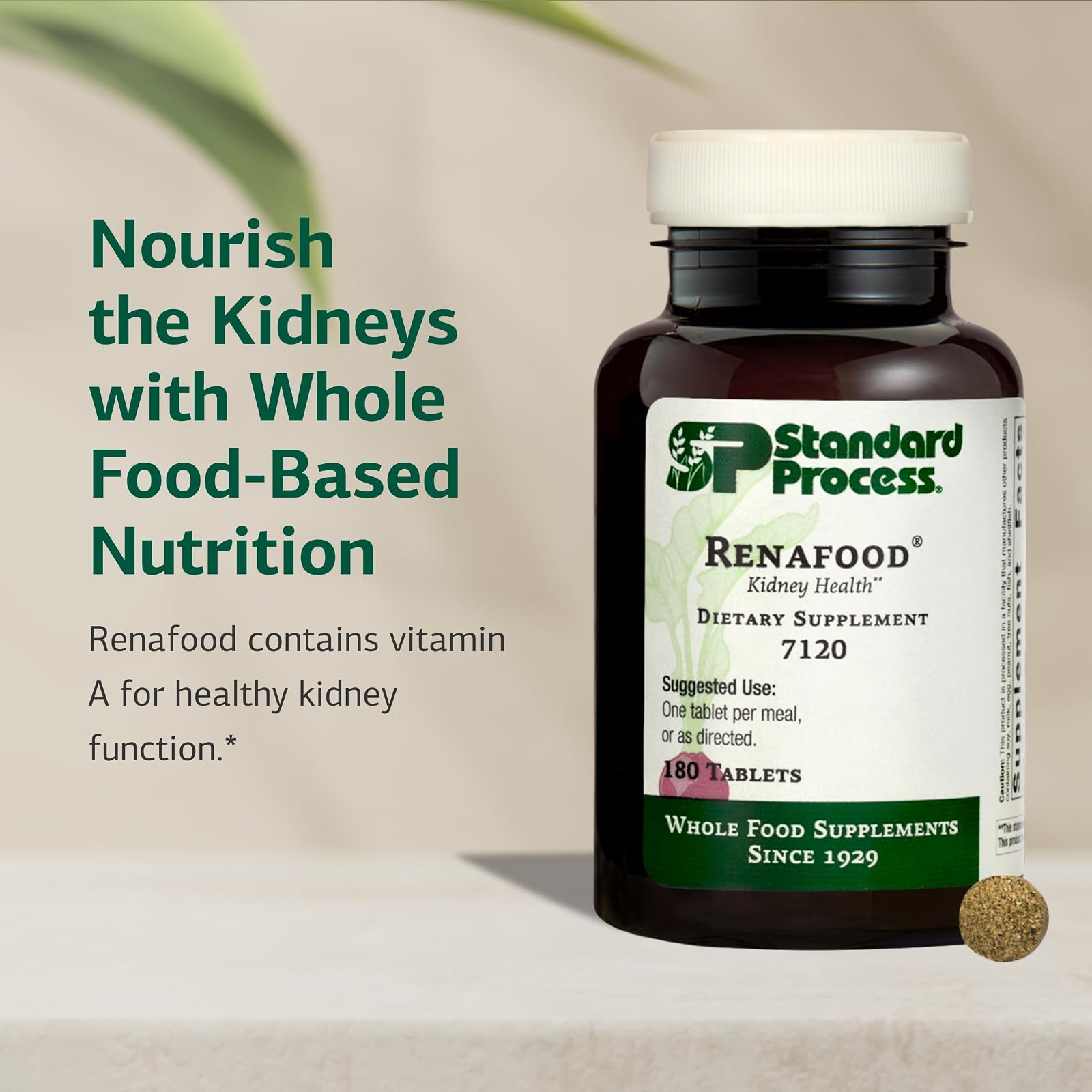 multivitamin for seniors health