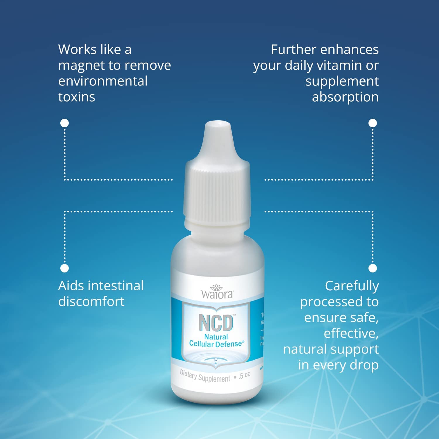 multivitamin for seniors immune support