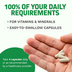 multivitamin for seniors immune support
