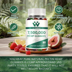 multivitamin for seniors in gummy form