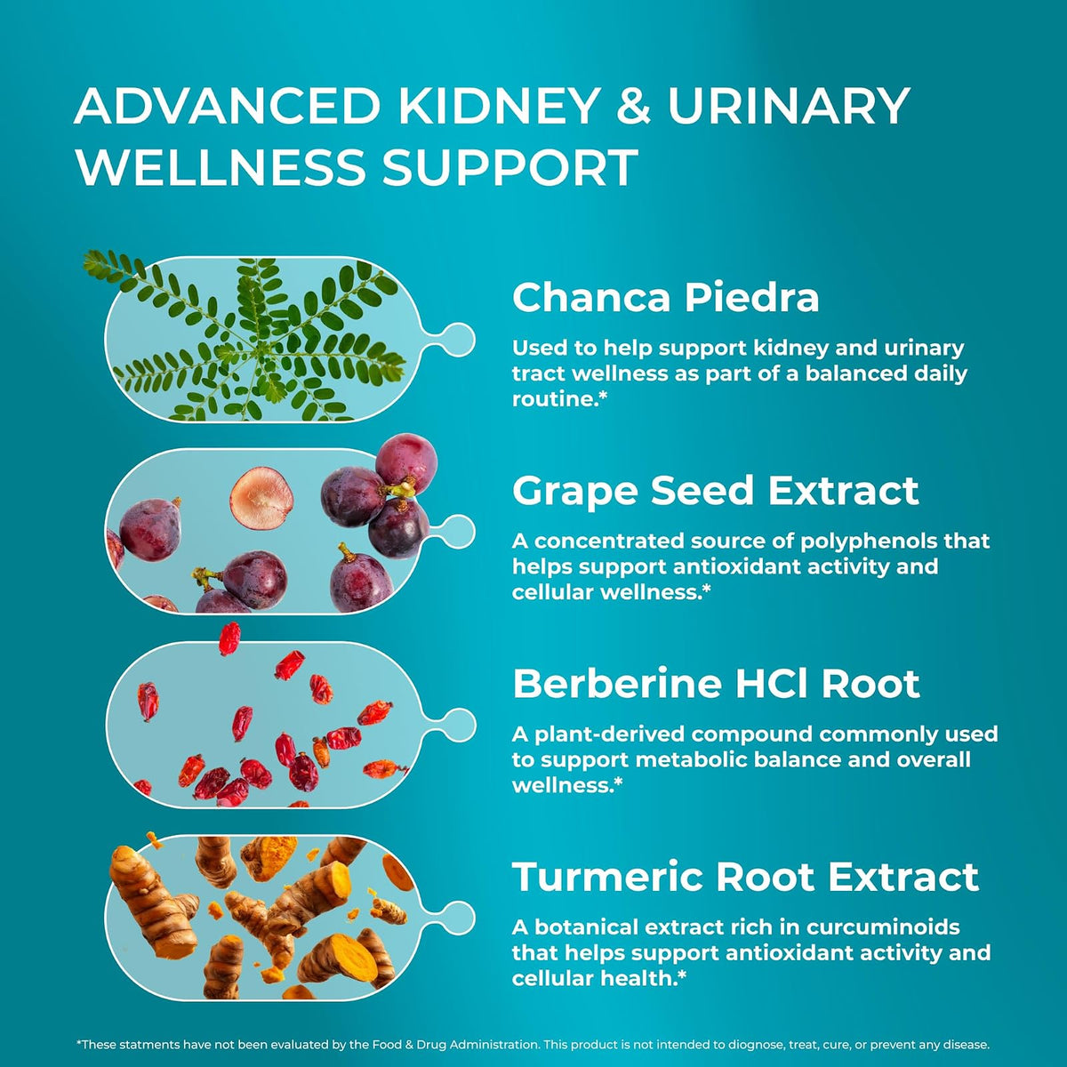 multivitamin for seniors kidney health