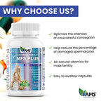 Multivitamin for seniors promoting fertility