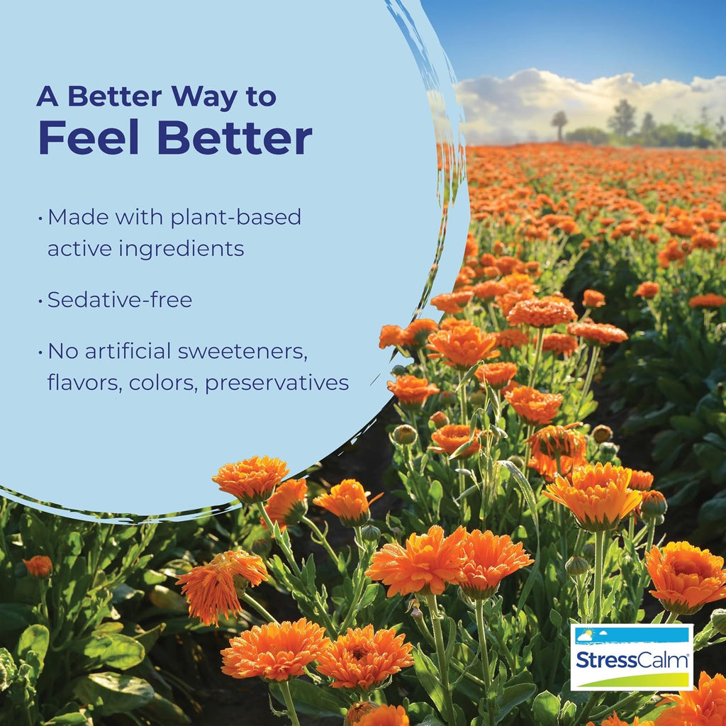 multivitamin for seniors promoting tranquility