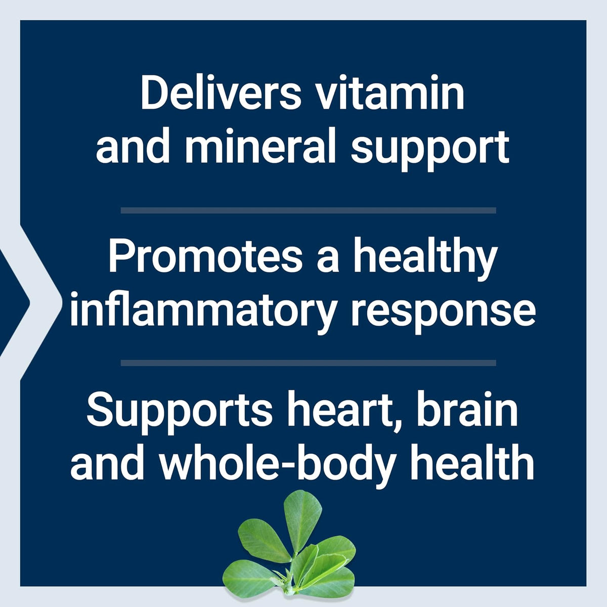 Multivitamin for seniors promoting vitality