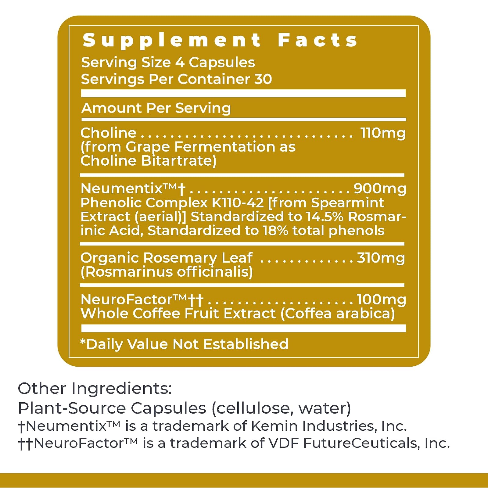 multivitamin for seniors promoting wellness