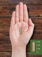 multivitamin for seniors promoting wellness