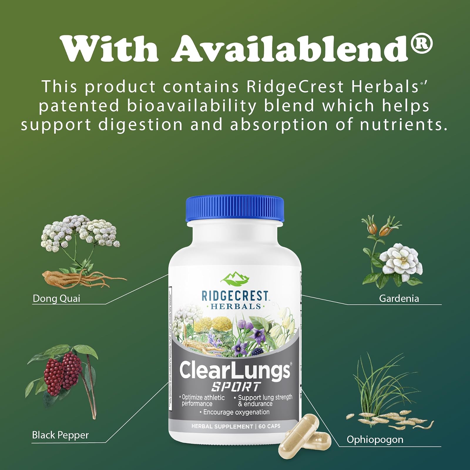 multivitamin for seniors respiratory support