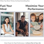 multivitamin for seniors supporting cognitive health