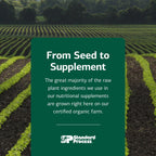 multivitamin for seniors supporting vitality