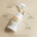 multivitamin for seniors supporting vitality