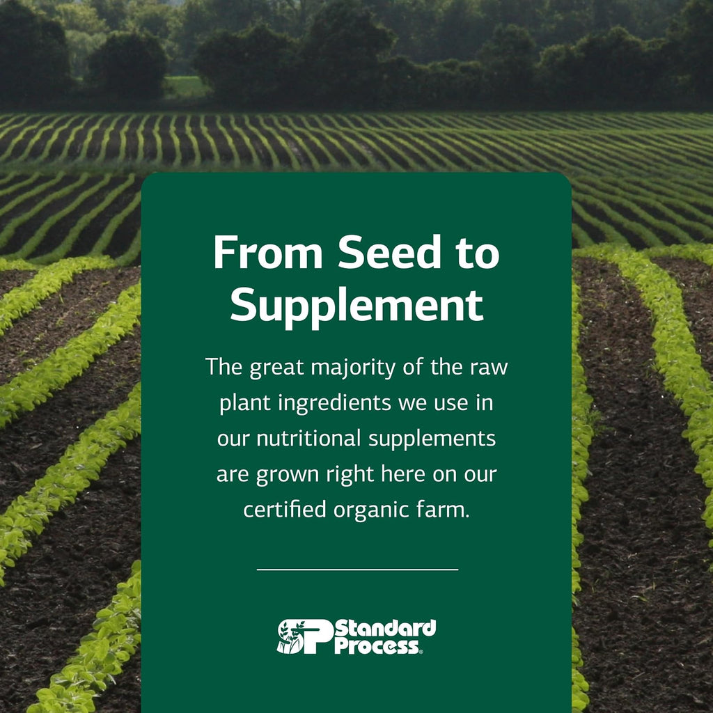 multivitamin for seniors supporting vitality